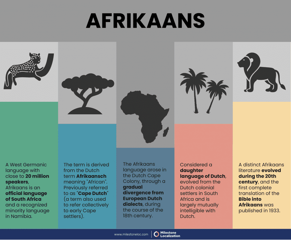 Afrikaans Language Infographic - Milestone Localization